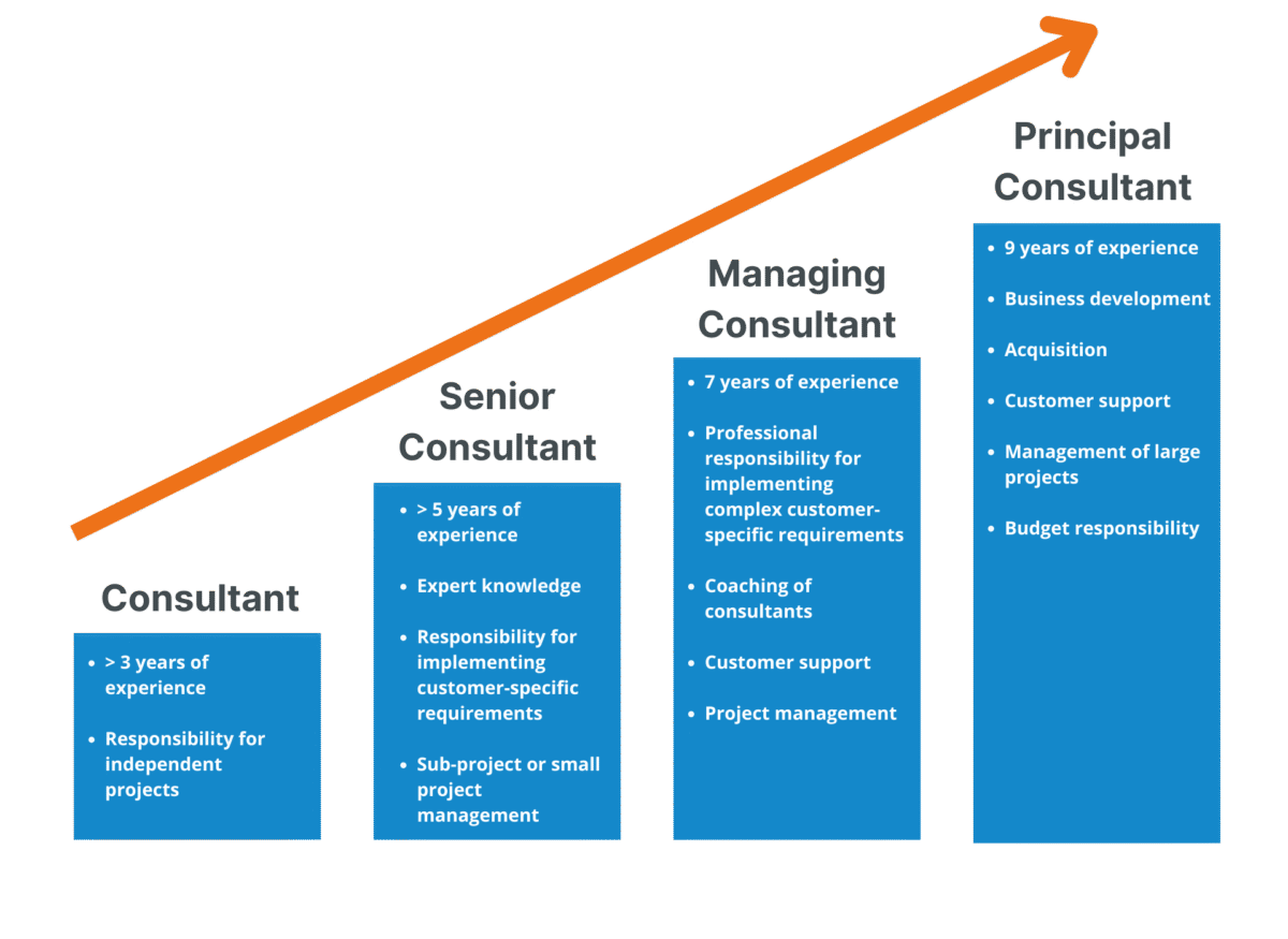 Career: development opportunities for consultants - proaxia consulting ...