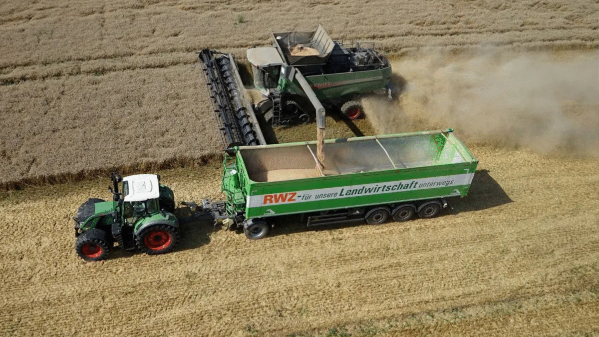 proaxia: Innovative solutions for your business - proaxia consulting group